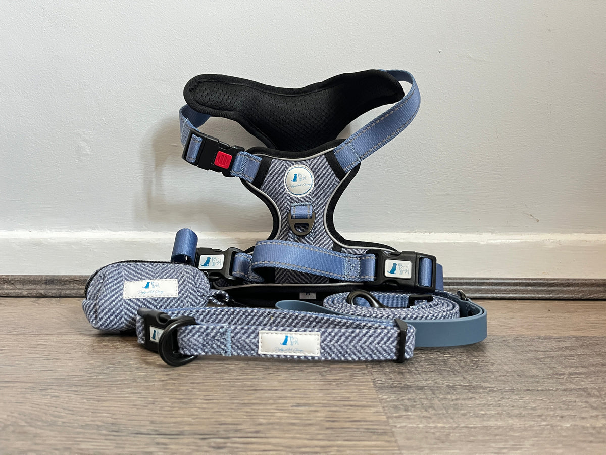 Harness Sets – Digby and Champ