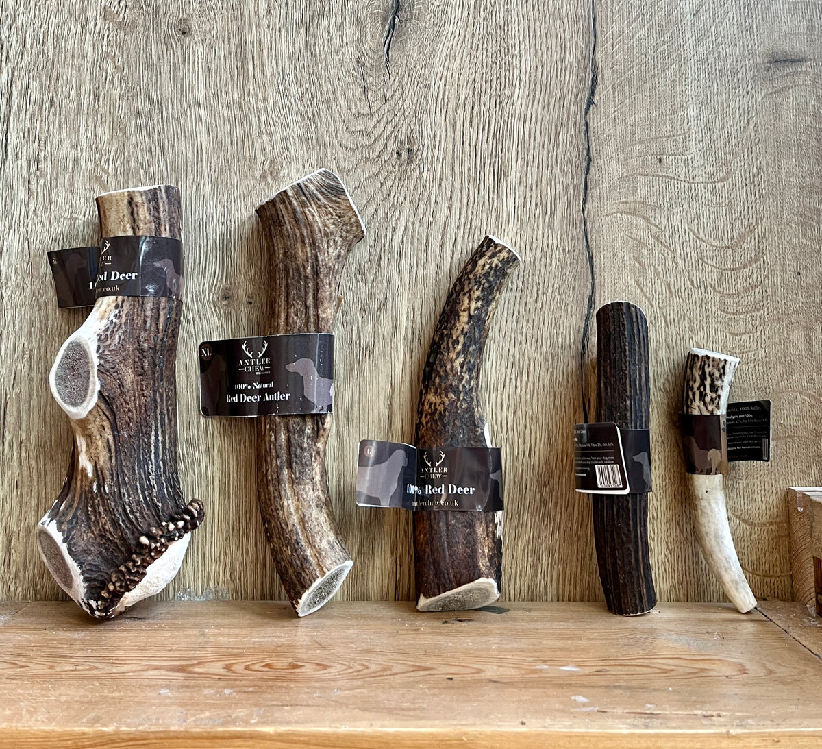 Whole Red Deer Antler Dog Chew – Digby and Champ
